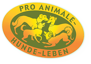 Życie psów w Pro Animale – Fundacja PRO ANIMALE